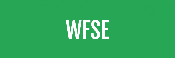 WFSE (AFSCME Council 28)